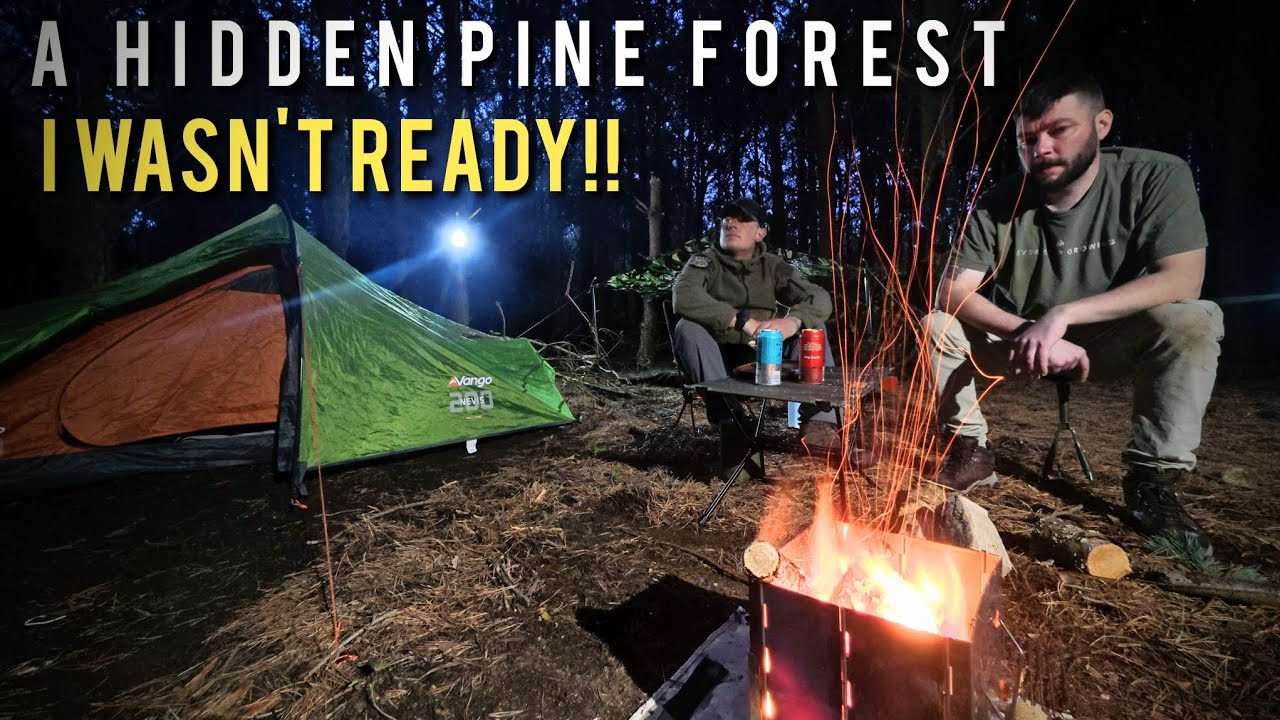 Wild Camping in a HIDDEN Pine Forest 🌲 (Hide & Seek Edition) - YouTube