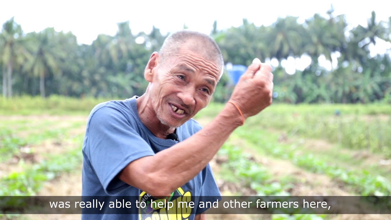 DA 9 High Value Crops Development Program (HVCDP) | PISOS PROJECT - YouTube