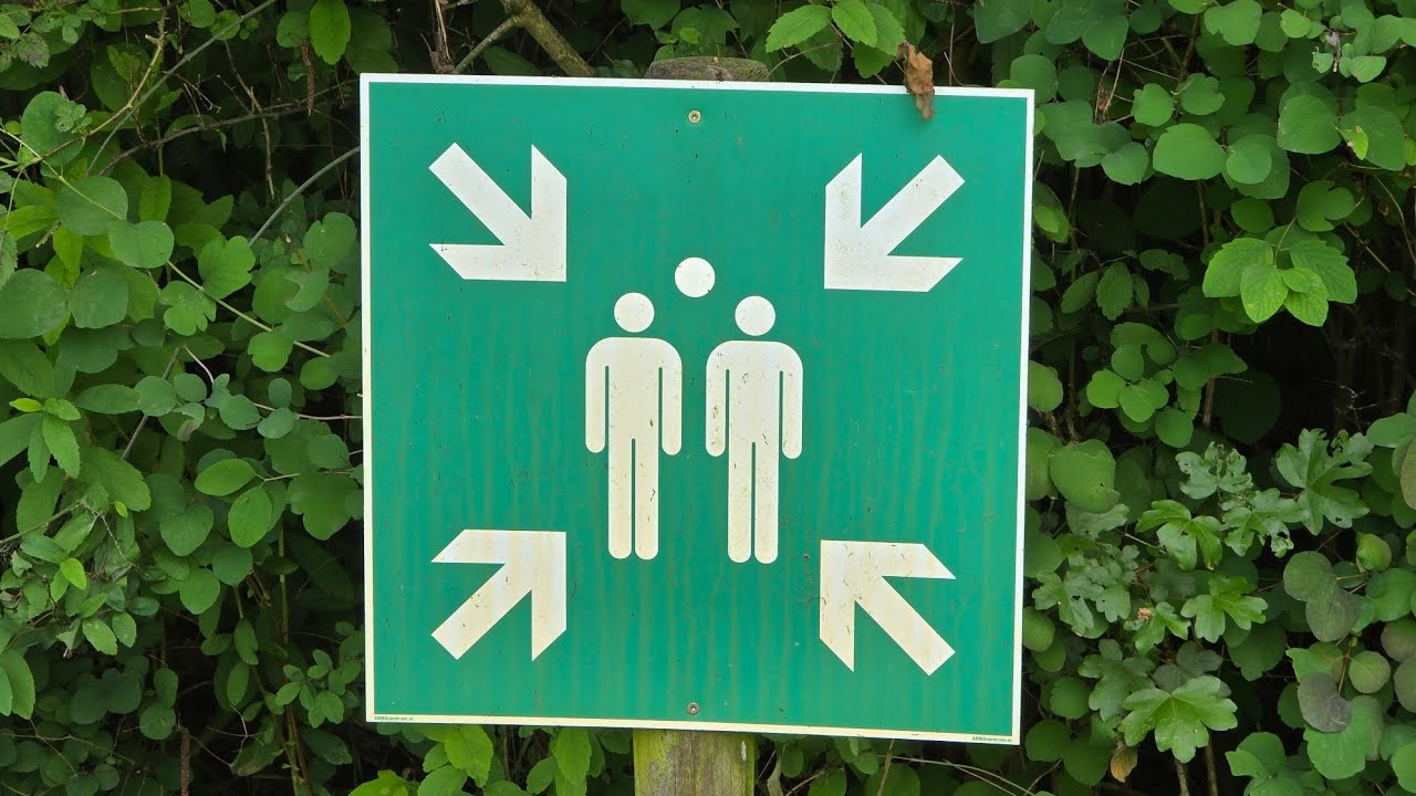 more flow, less show (more share too - in less time) - YouTube