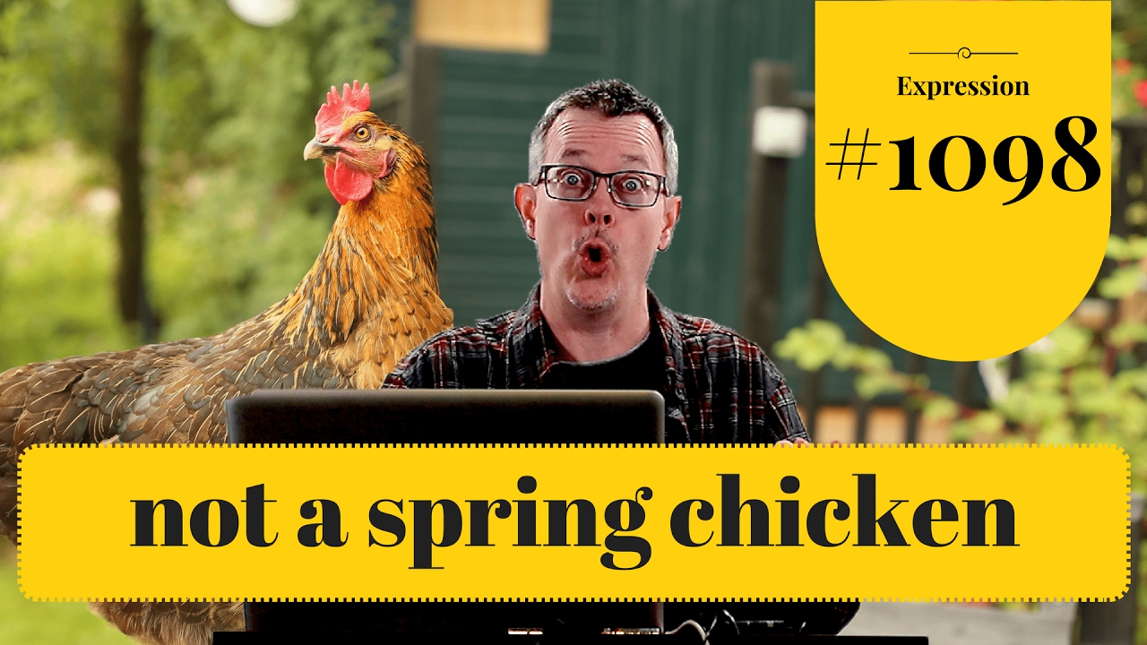 Learn English: Daily Easy English 1098: Not a spring chicken - YouTube