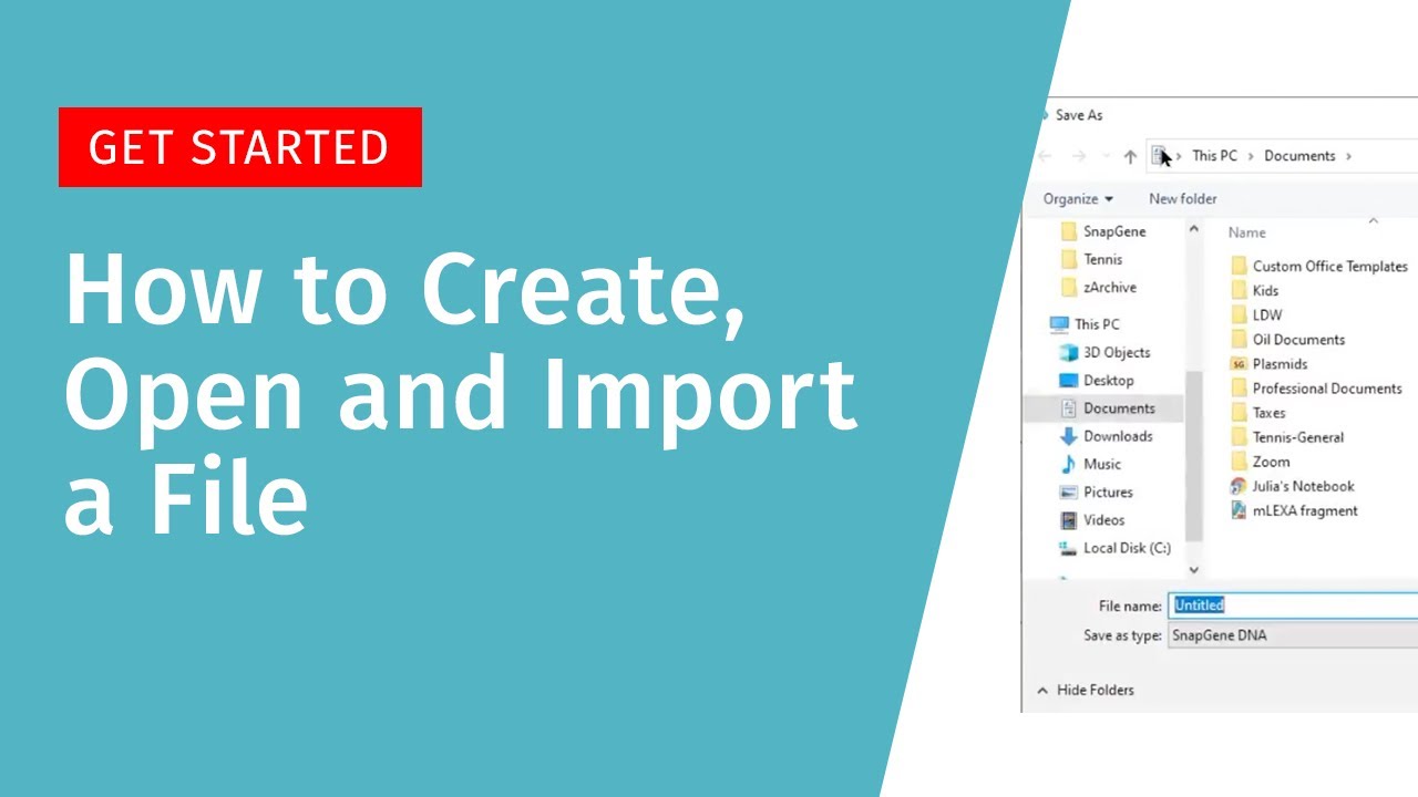 Getting Started: How to Create Open and Import a File in SnapGene - YouTube