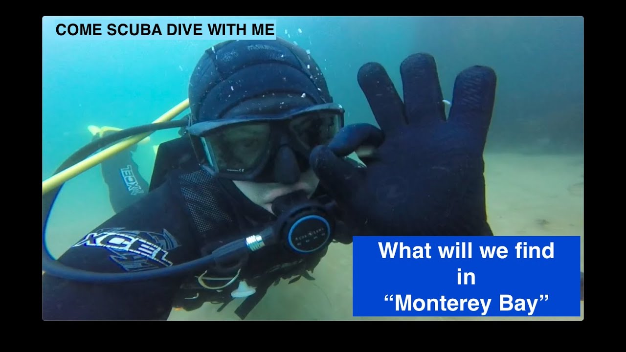SCUBA Dive the Pacific Ocean in Monterey Bay's Breakwater Cove off the ...
