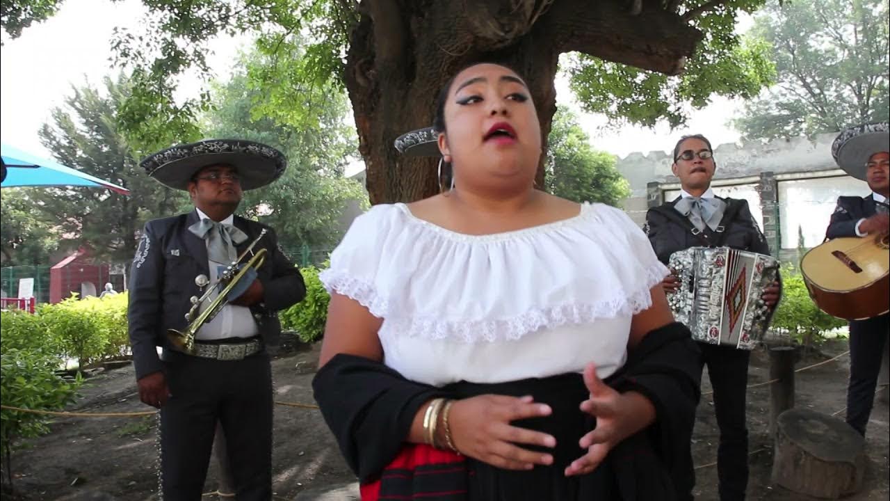 A la luz de los cocuyos - Alinne Carrea - YouTube
