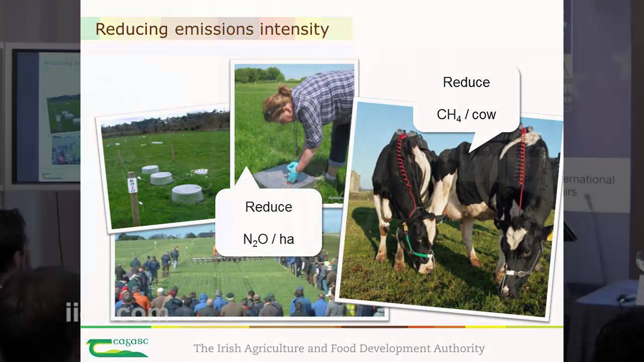 Prof. Rogier Schulte - A new equation for climate-smart livestock ...
