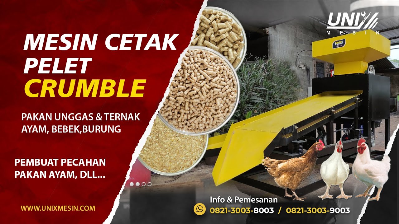 MESIN PELET CRUMBLE PAKAN AYAM - Pembuatan Pakan Mandiri - Mesin ...