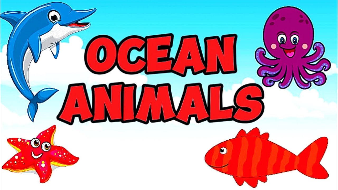 Name of Ocean Animals || Ocean Animals name in English || fish ...