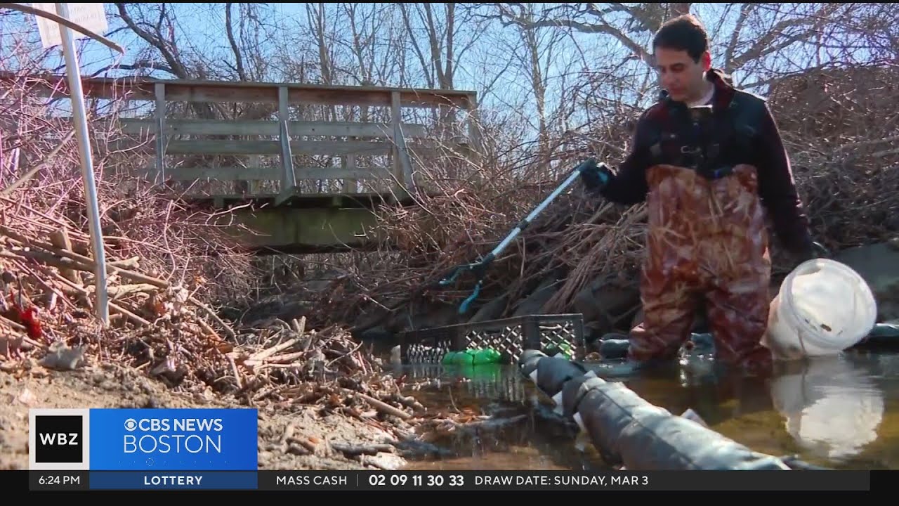 Woburn man cleans up litter from pond with trap made of recycled ...