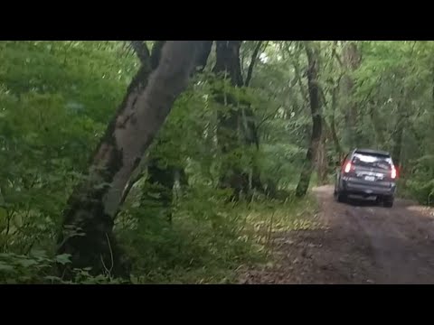 Şamaxı Soyuqbulaq meşəsində piknik 🌲🚗 | Təmiz hava və sakitlik