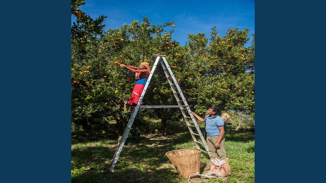 Sanumaya (feat. Benisha Poudel) - YouTube