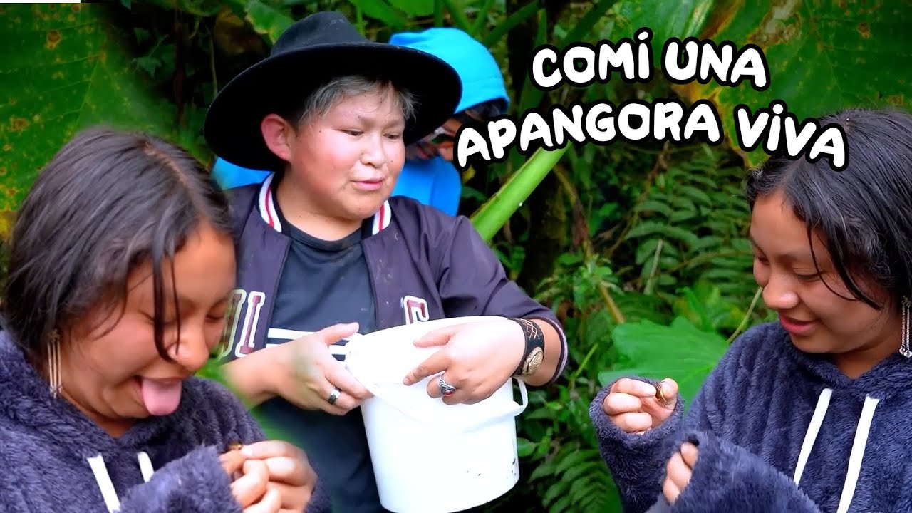 PRIMERA VEZ PROBANDO APANGORAS - Georgina Castro - YouTube