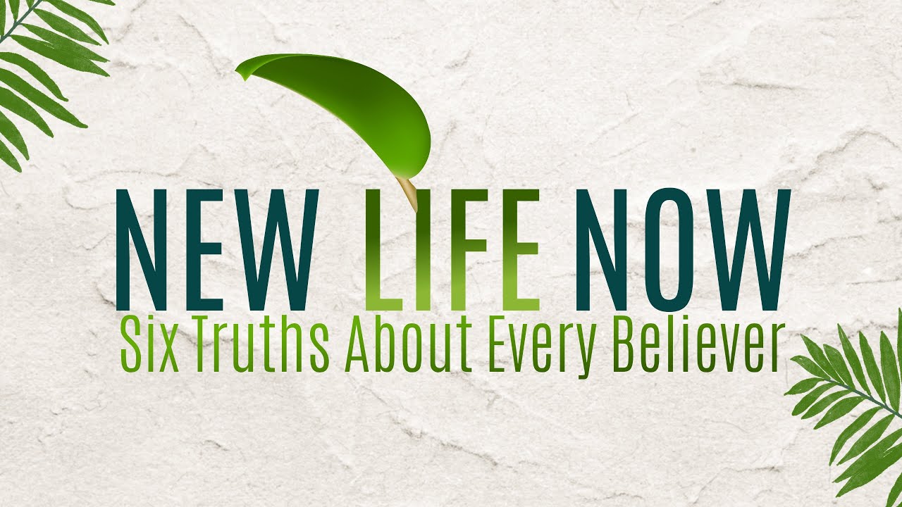 Week 6: Undefeated - Chris Workman - YouTube