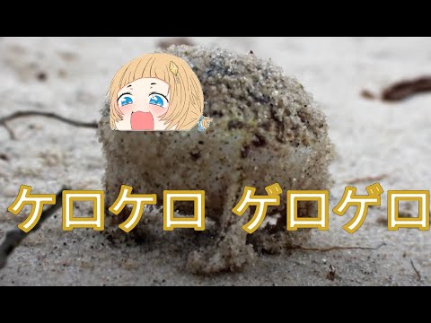 【Prune】- Angry Plum Frog -【Meme】 - YouTube
