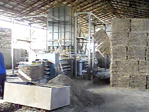 Kurdamir city, \