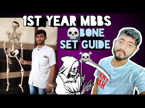 1ST YEAR MBBS - BONE SET GUIDE & STORY | ANATOMY | MBBS | MR._MEDICO ...