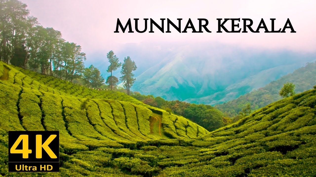 Munnar Kerala | Waterfalls | Tea garden | 4k video ultra hd - YouTube