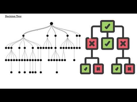 01. Decision Tree Implementation Using Entropy and Information Gain ...