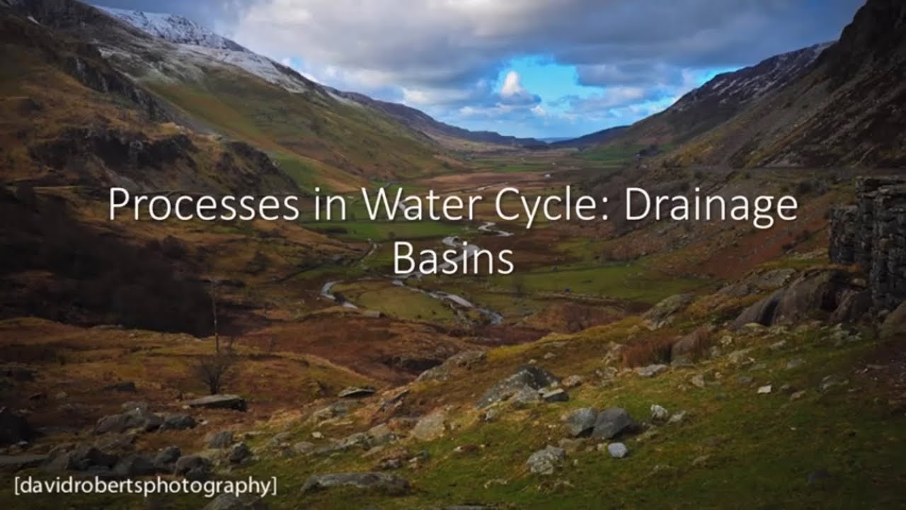 Processes in Water Cycle - Drainage Basins (A-Level Geography) - YouTube
