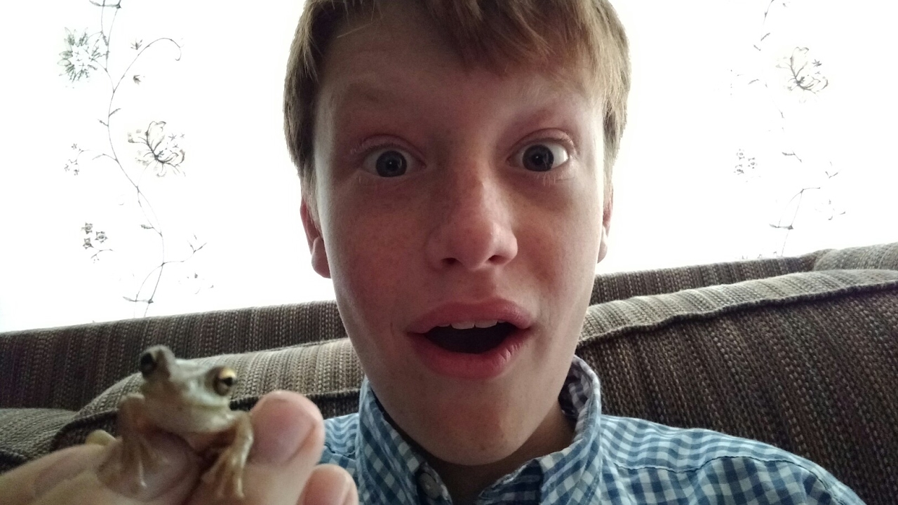 Frog scare prank. - YouTube