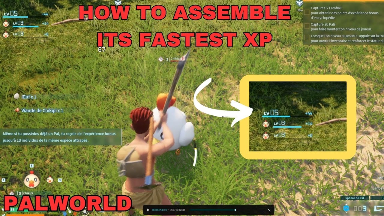 TUTORIAL HOW TO EASILY LEVEL UP ON PALWORLD / Level up your xp palworld ...