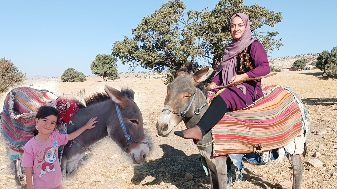 Giving birth: the wonders of the life of sheep and nomadic women and ...