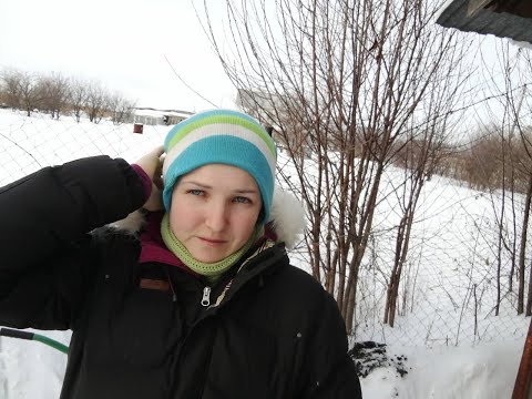 Зарезали барана, отметили день рождения