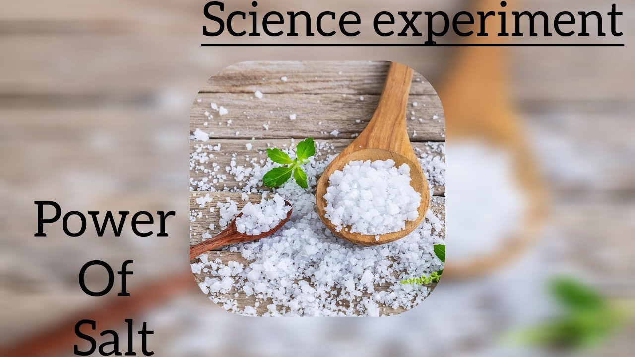 FUN SCIENCE EXPERIMENTS DO AT HOME | SCIENCE EXPERIMENT WITH SALT| नमक ...