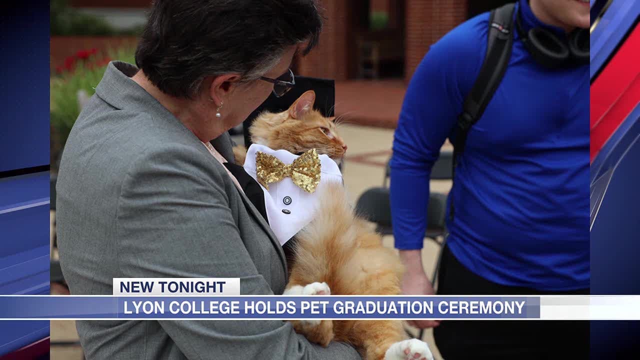 College holds graduation for graduates’ pets - YouTube