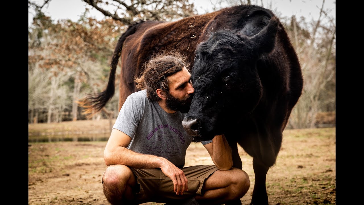 Welcome to Austin Farm Sanctuary. Happy. Healthy. Home. - YouTube