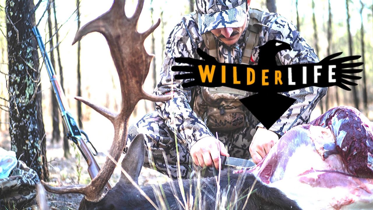 Fallow buck with a .30-30 - an artistic film - YouTube