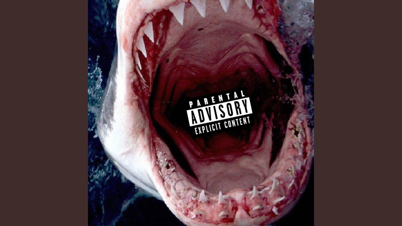 SHARK - YouTube