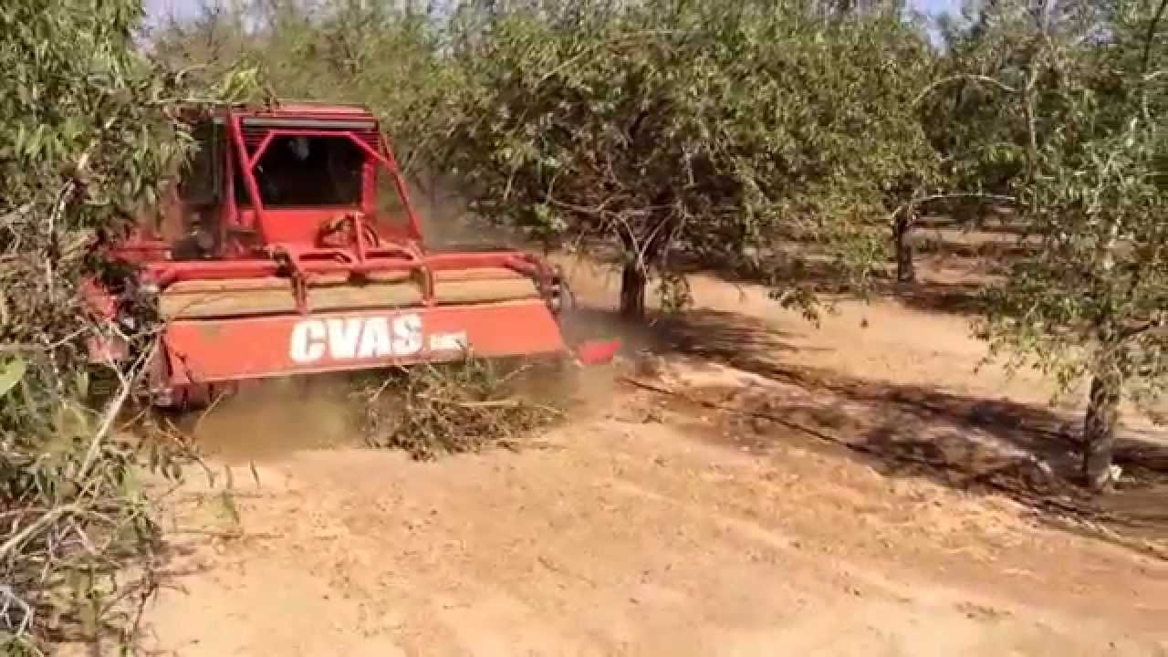 Centralvalleyagservices shredding flory shredder almond orchard - YouTube