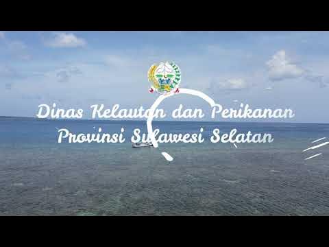 Profil Dinas Kelautan Dan Perikanan Prov. Sulsel - YouTube