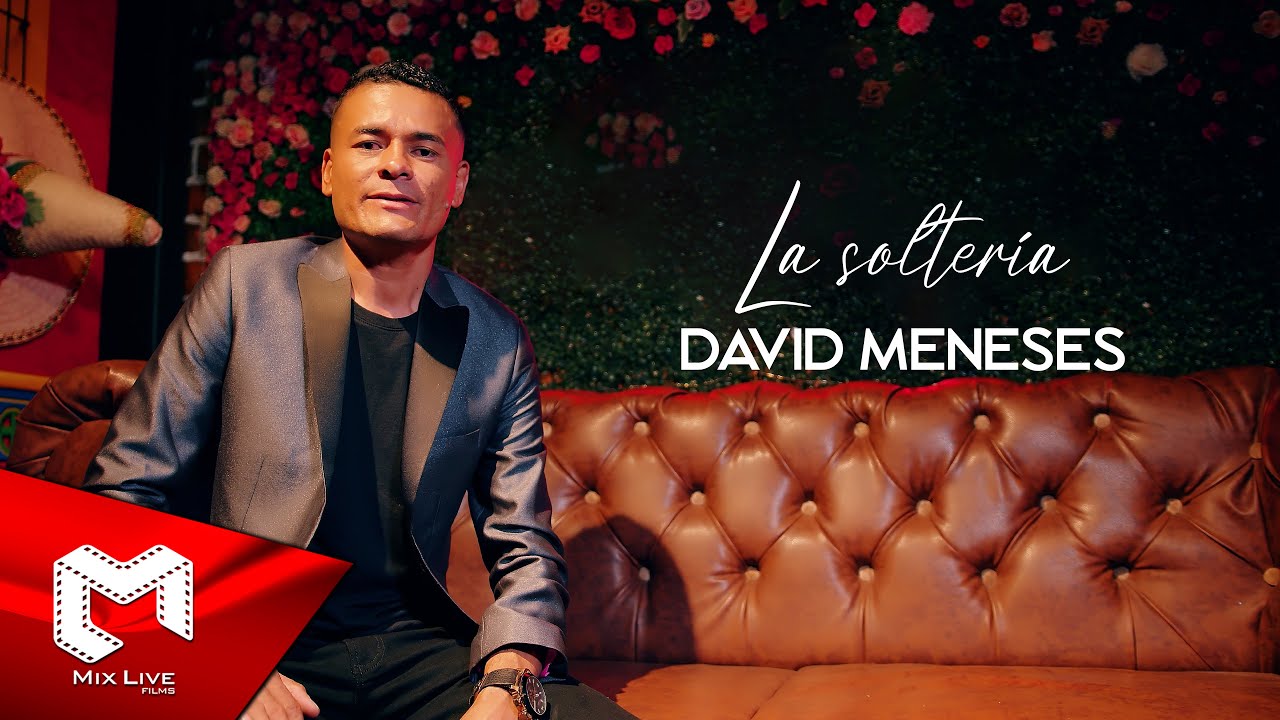 David Meneses - La soltería (Video oficial) - YouTube