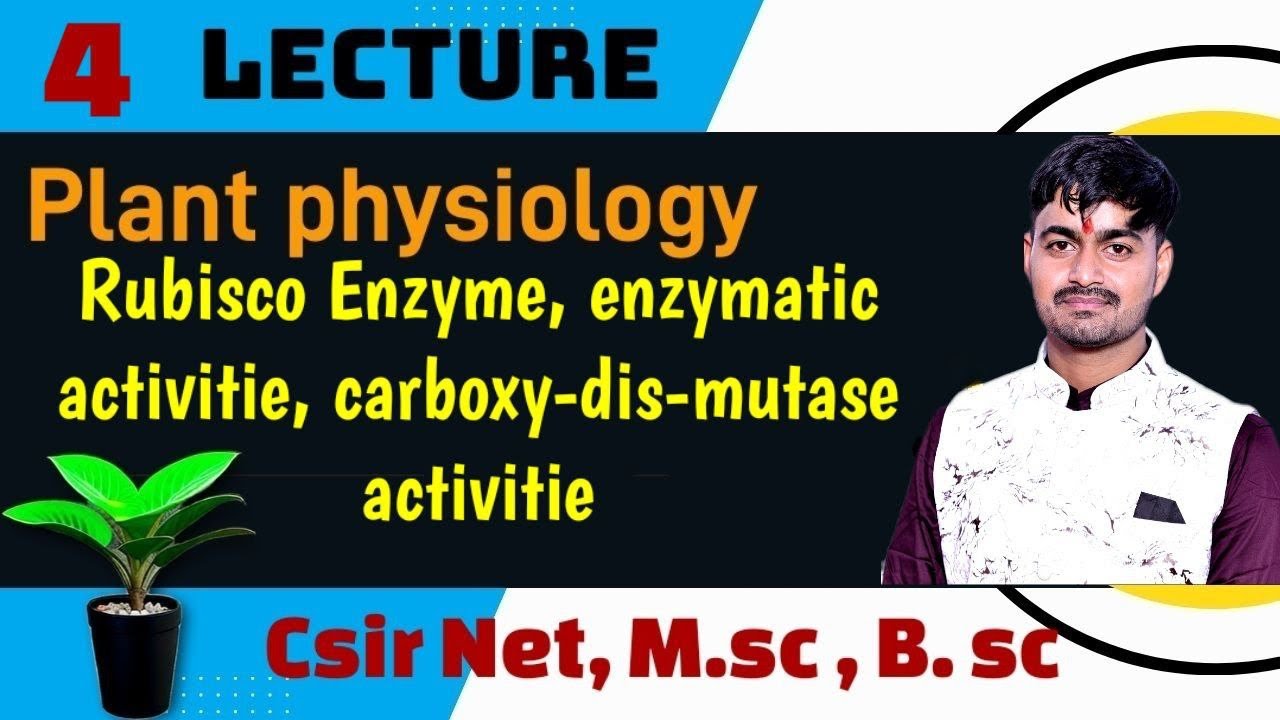 L:04 plant physiology || Rubisco enzyme,Enzymatic activity,CDM activity ...
