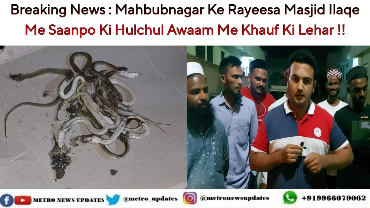 Breaking News : Mahbubnagar Ke Rayeesa Masjid Ilaqe Me Saanpo Ki ...