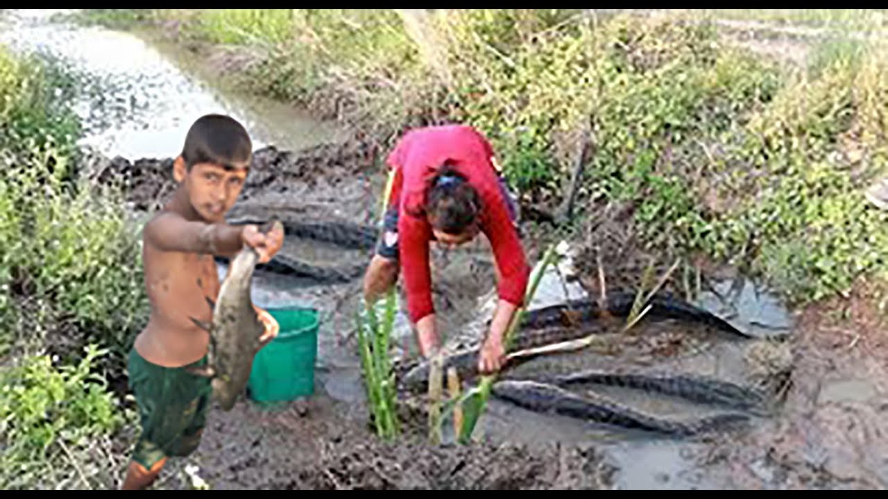 Unique fishing videos | People catching big fish by hand | hand fishing ...