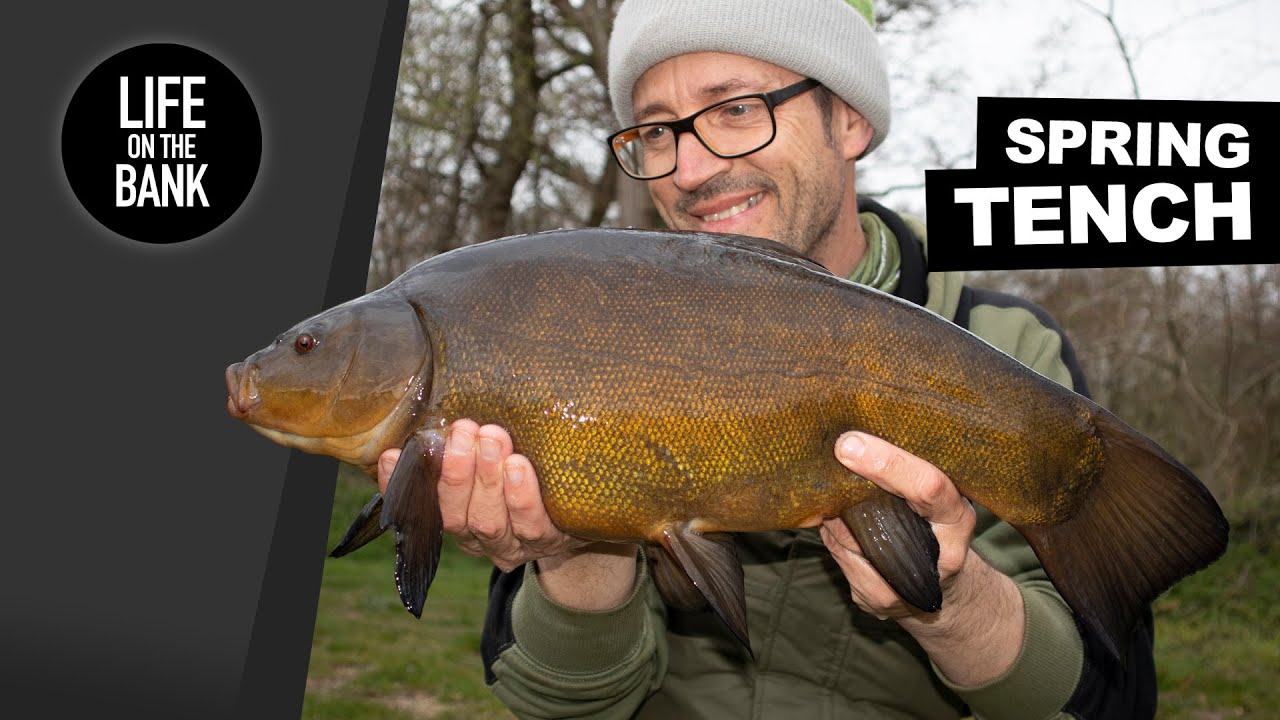TENCH FISHING TIPS - SPRING - YouTube