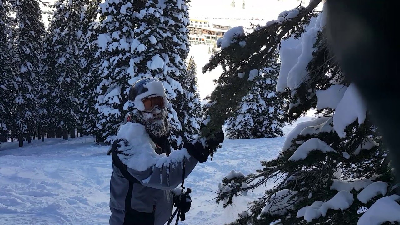 Funny winter fail snow skiing Alta - YouTube