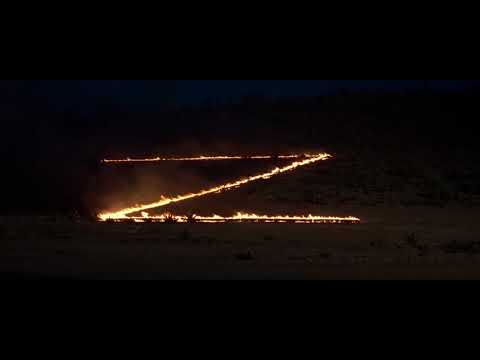 Zorro - Big Z