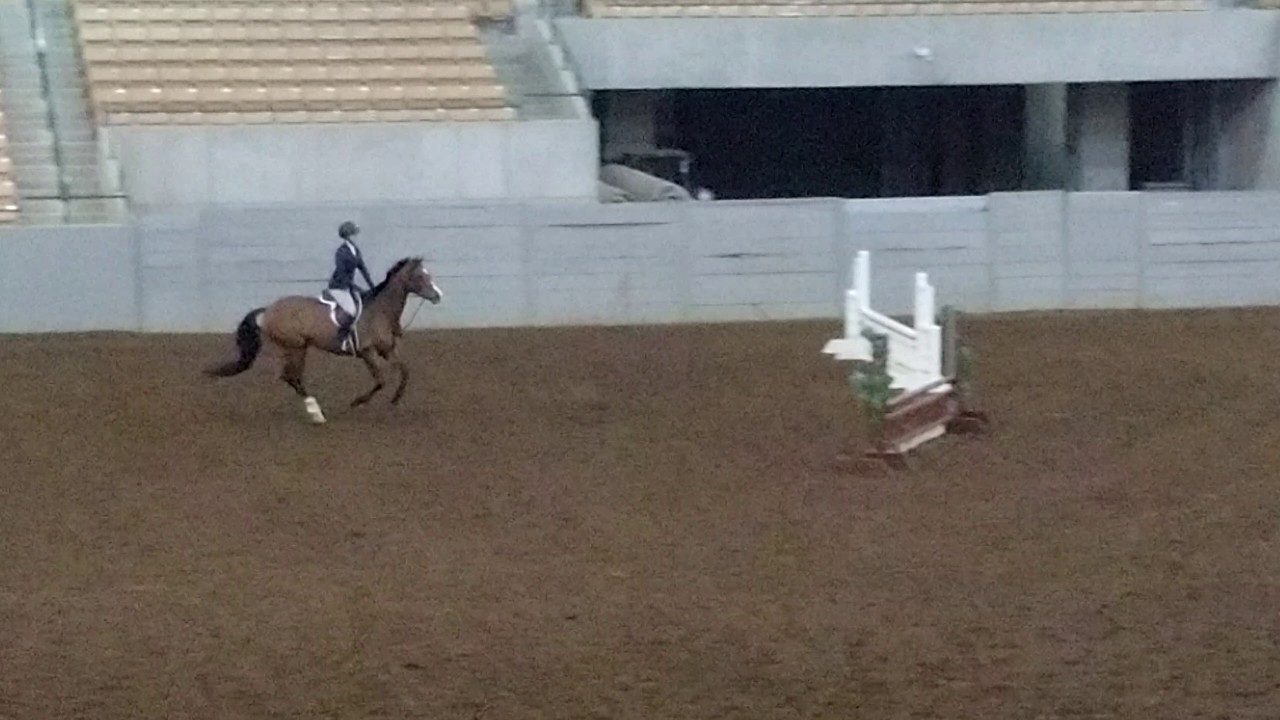 Tremmé- Hunter Over Fences - YouTube