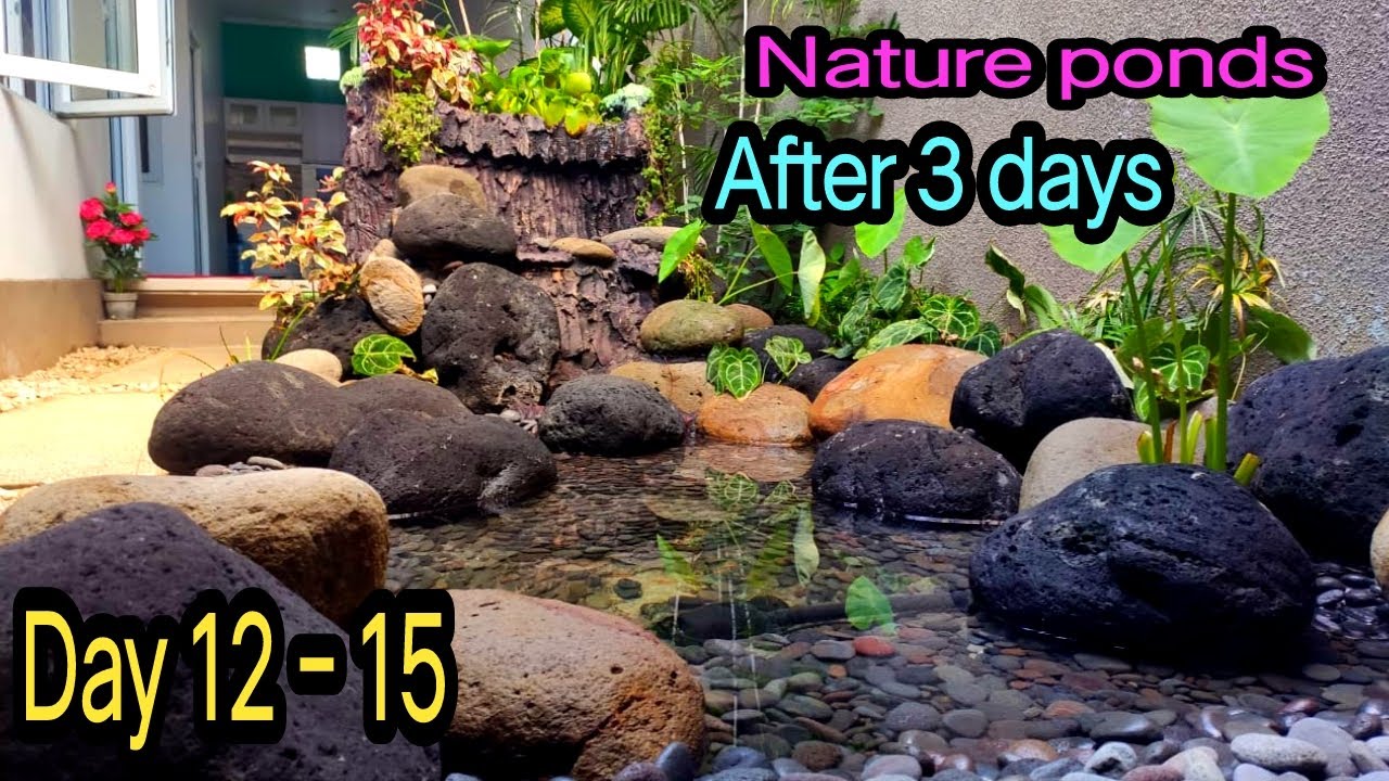 How to make a nature pond Part 2 (waterfall pond, river pond) after 3 ...