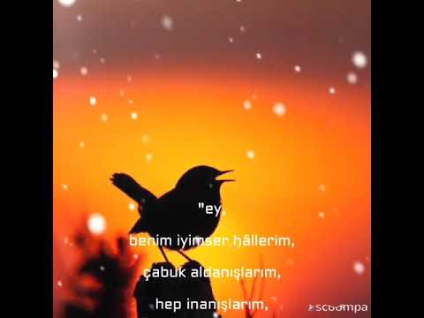 Ve Artık ben hiç kimsenin kimsesi olmayacağım🌿
