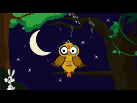 Doktor Mačak - Stara mudra sova (dečije pesme)