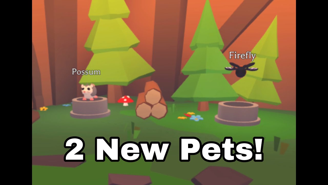 The NEW CAMPING SHOP UPDATE Is HERE! (Roblox Adopt Me) - YouTube