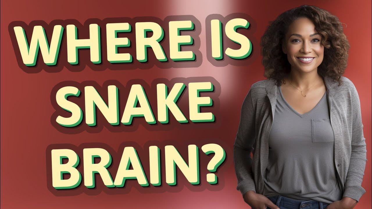 Where is snake brain? - YouTube