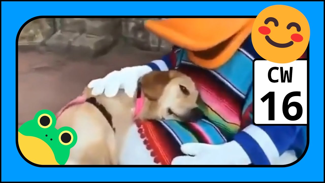 Monday Recharge - CW16 - YouTube