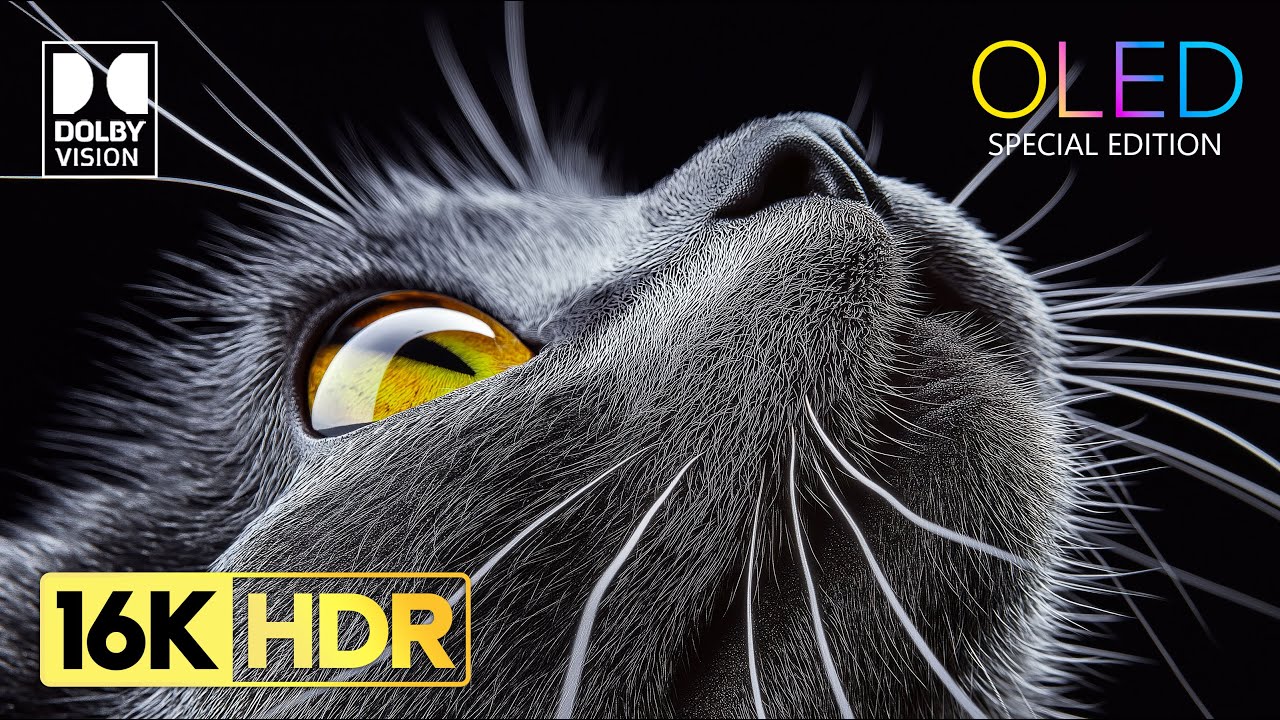 Amazing OLED Demo - 16K HDR Dolby Vision (120 FPS Video) - YouTube Music