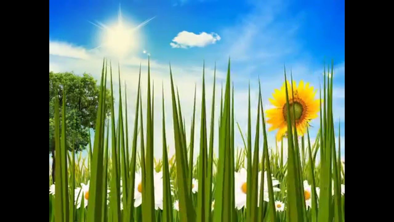 Grass Effect For Interactive Wall - YouTube