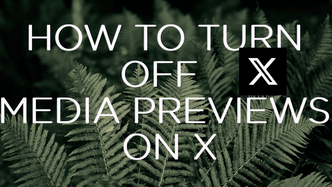 How to turn off Media previews on X - YouTube