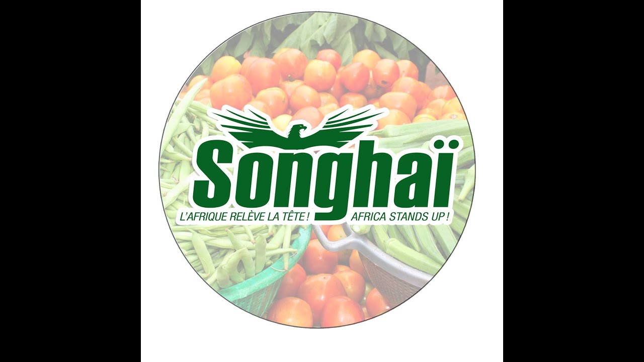 A VISIOINARY SUCCESS STORY: Father Godfrey Nzamujo (www.songhai.org ...